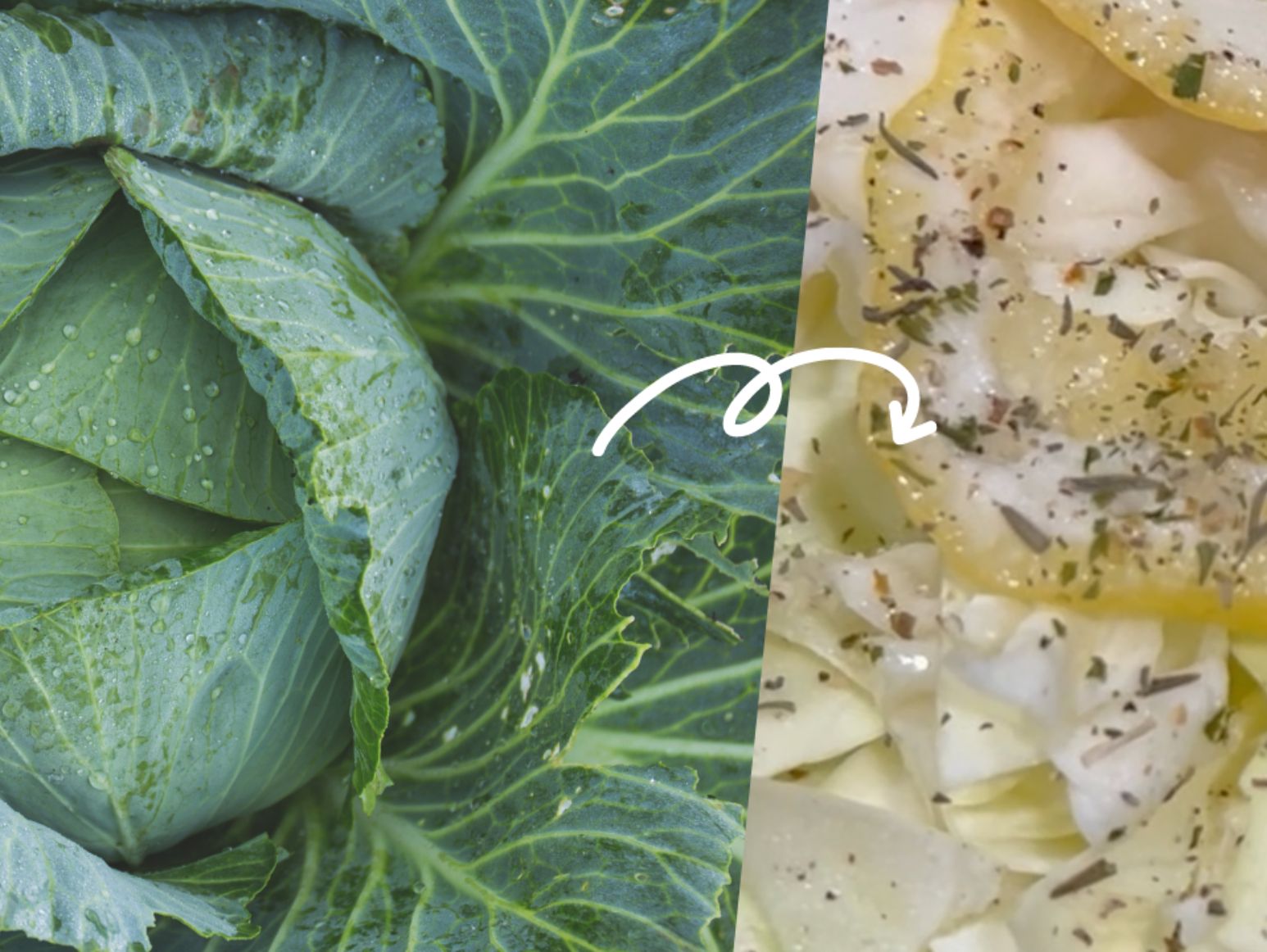 Steamed Lemon Cabbage – Gaia’s Essence